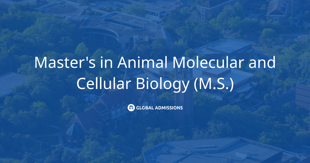 Master's in Animal Molecular and Cellular Biology (M.S.) at University of Florida | Global ...