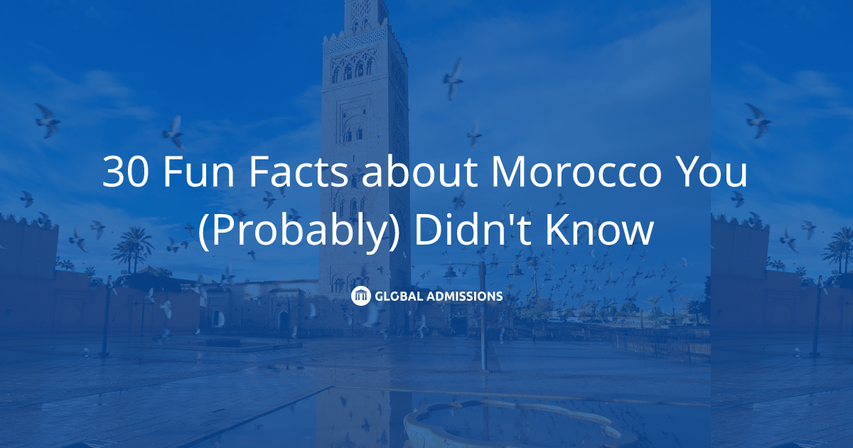 30 Fun Facts about Morocco You (Probably) Didn't Know | Global Admissions